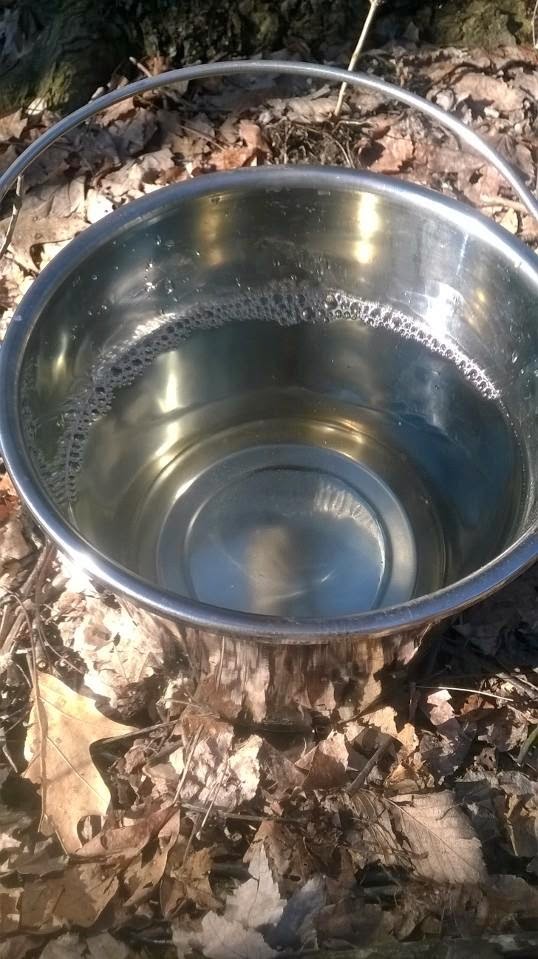 whythesimplelife: making maple syrup