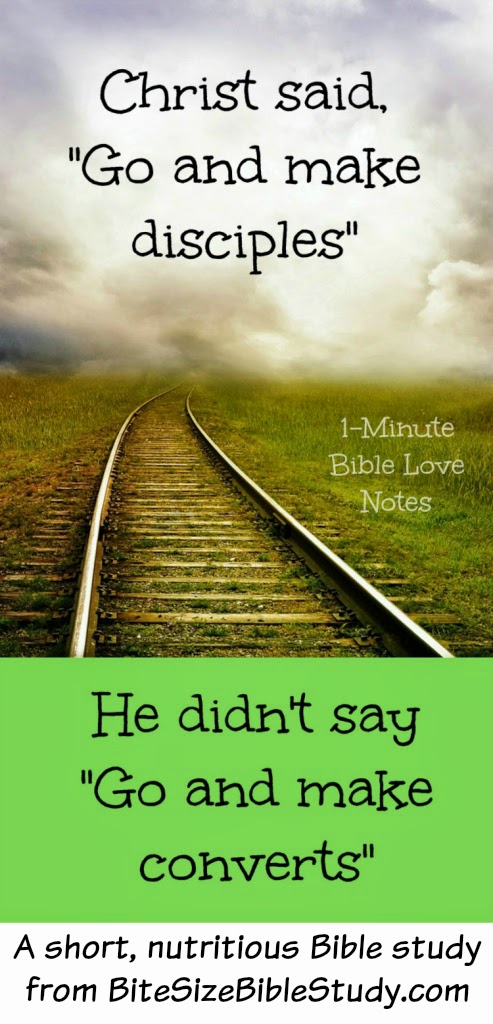 Bite Size Bible Study: Multiply Through Discipleship