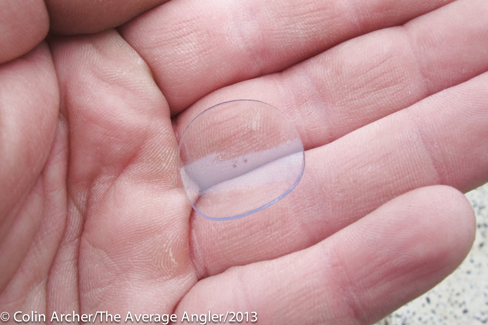The Average Angler: 01.15.13 Hit the rocks with the Pulse Disc...and if ...