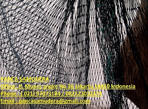 SAFETY NET / JARING SAFETY / JARING PROYEK / JARING GEDUNG / JARING ...