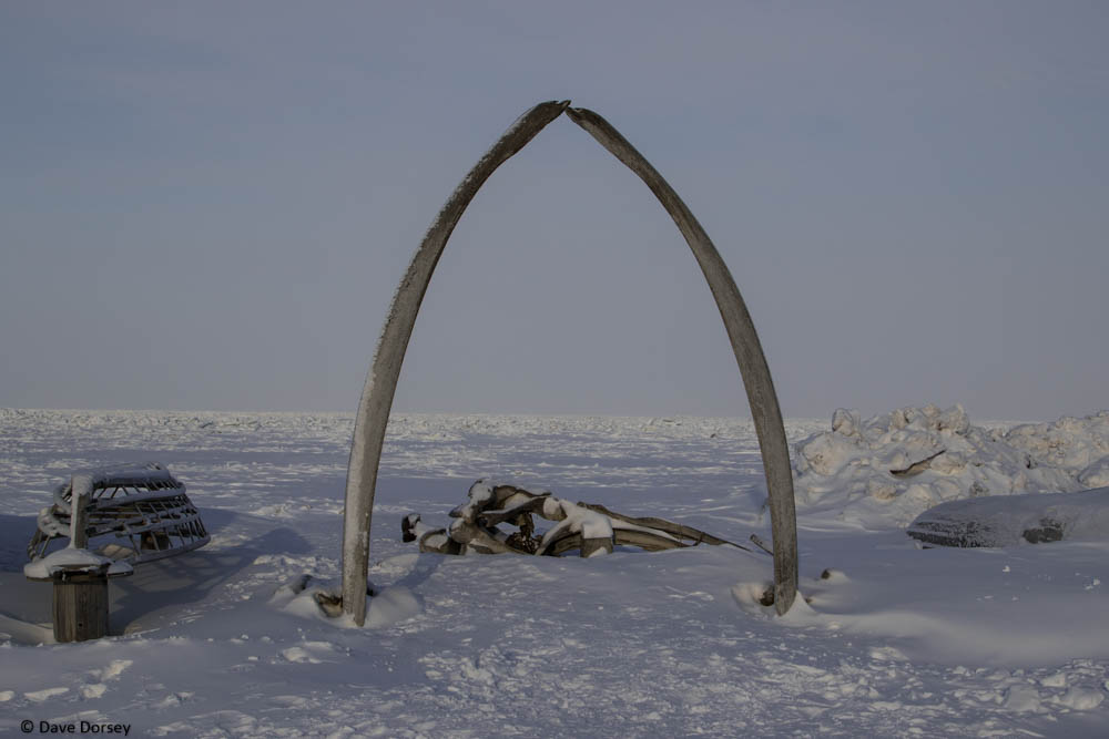 Four years and getting luckier