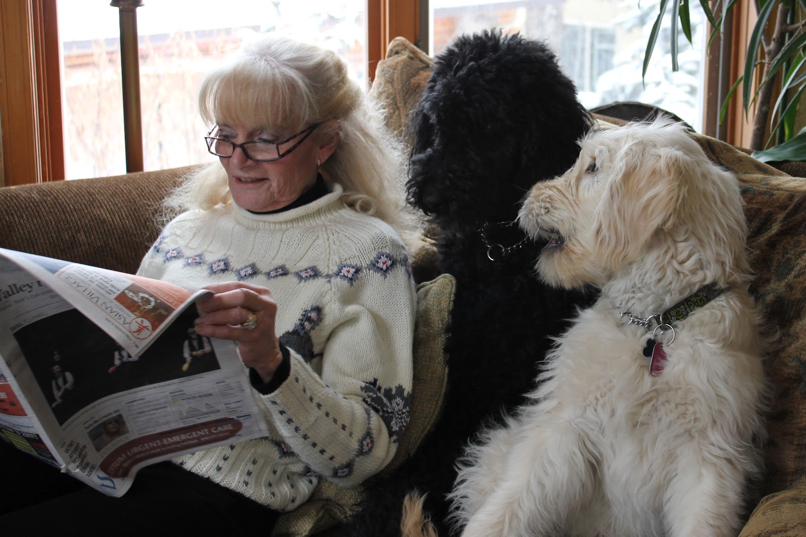 Green Garden Productions