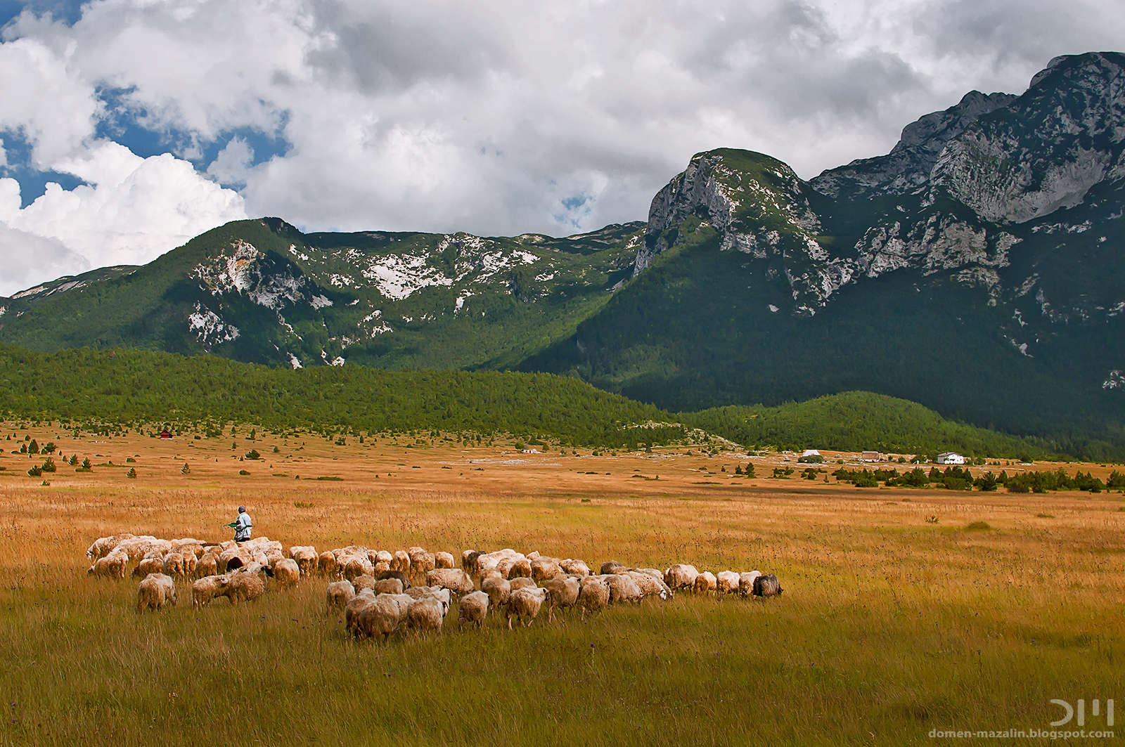 domen-mazalin.blogspot.com: Bosnia and Herzegovina