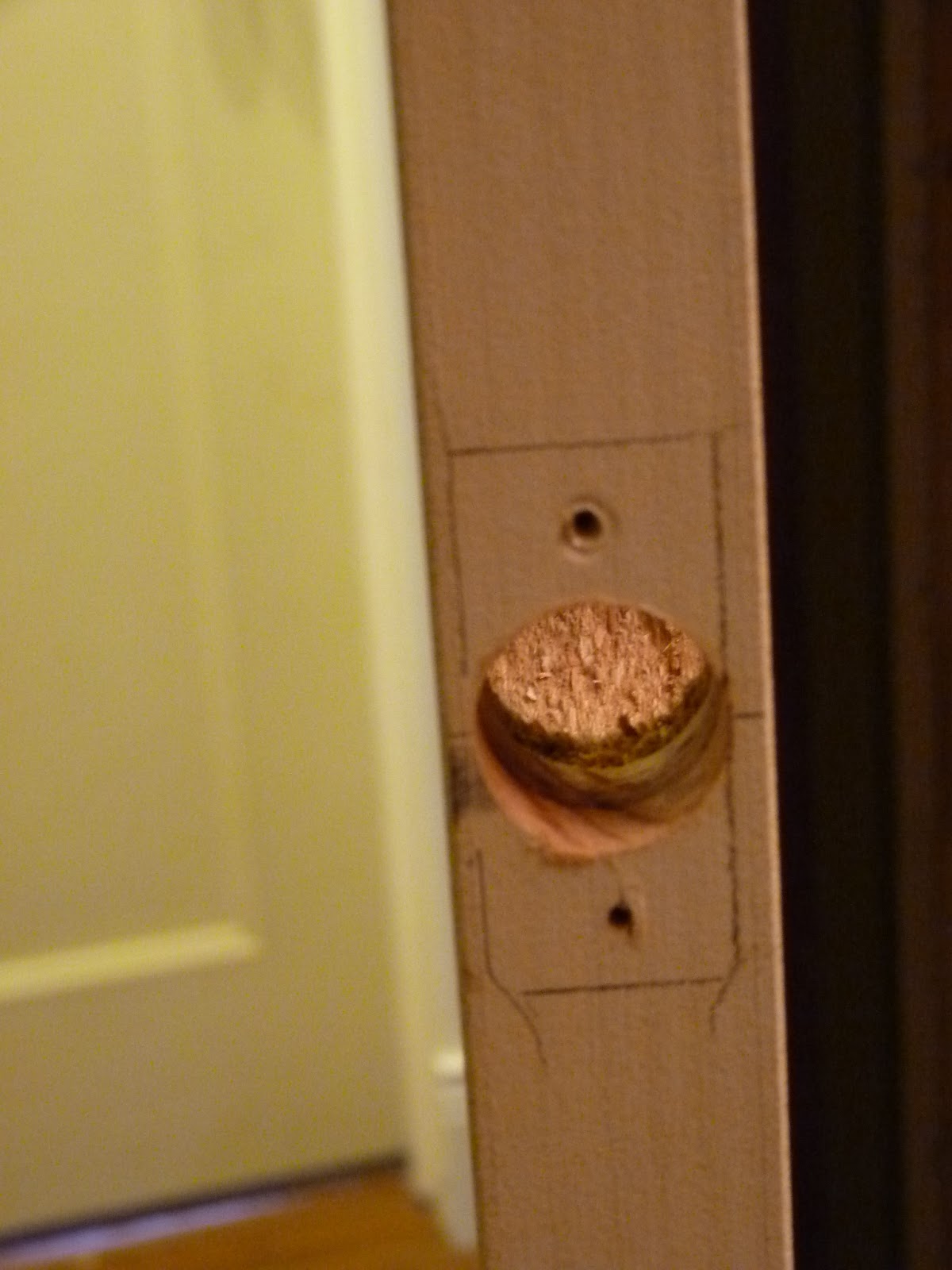 d i y d e s i g n: How To Replace Interior Doors