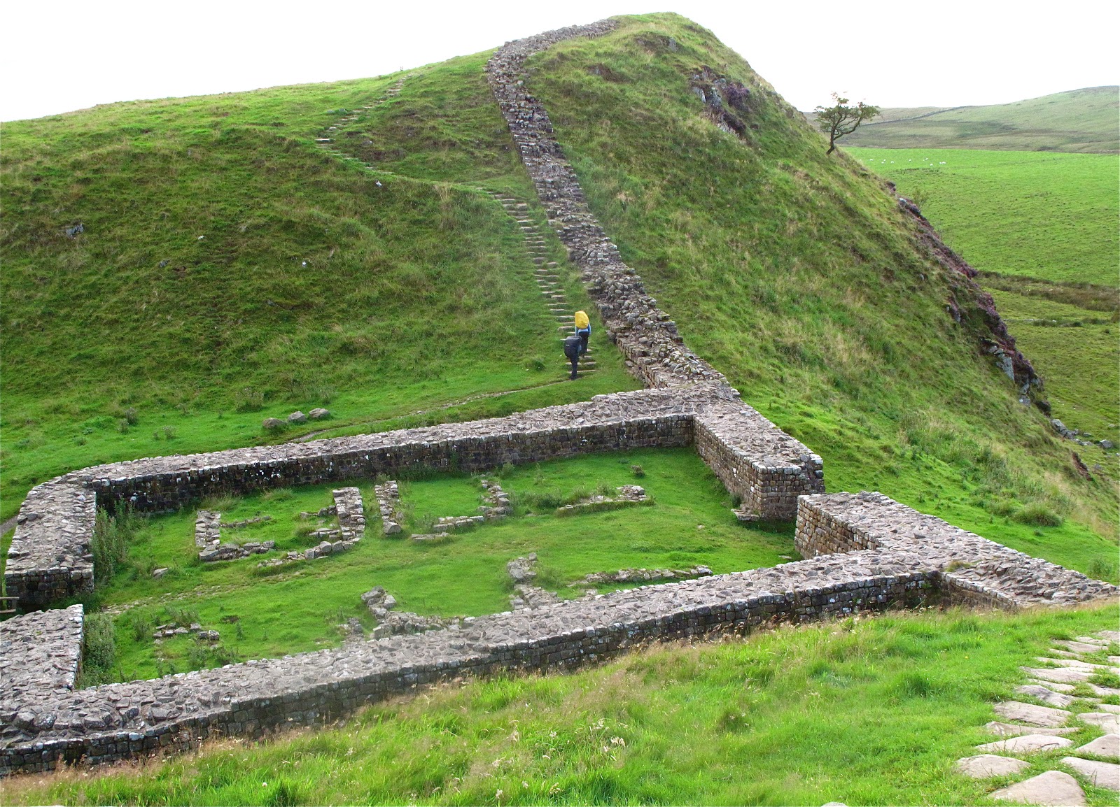 Transit Notes: WALKING THE HADRIAN'S WALL PATH: Day 3 — Wall to Once Brewed
