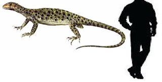 Los animales en la prehistoria: Animales prehistóricos con la letra A