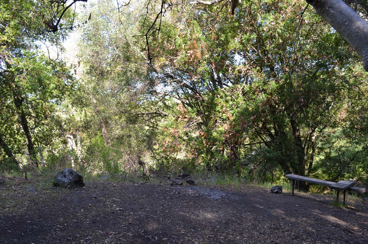 Sunol Regional Wilderness, 5/5/12 ~ Portrails