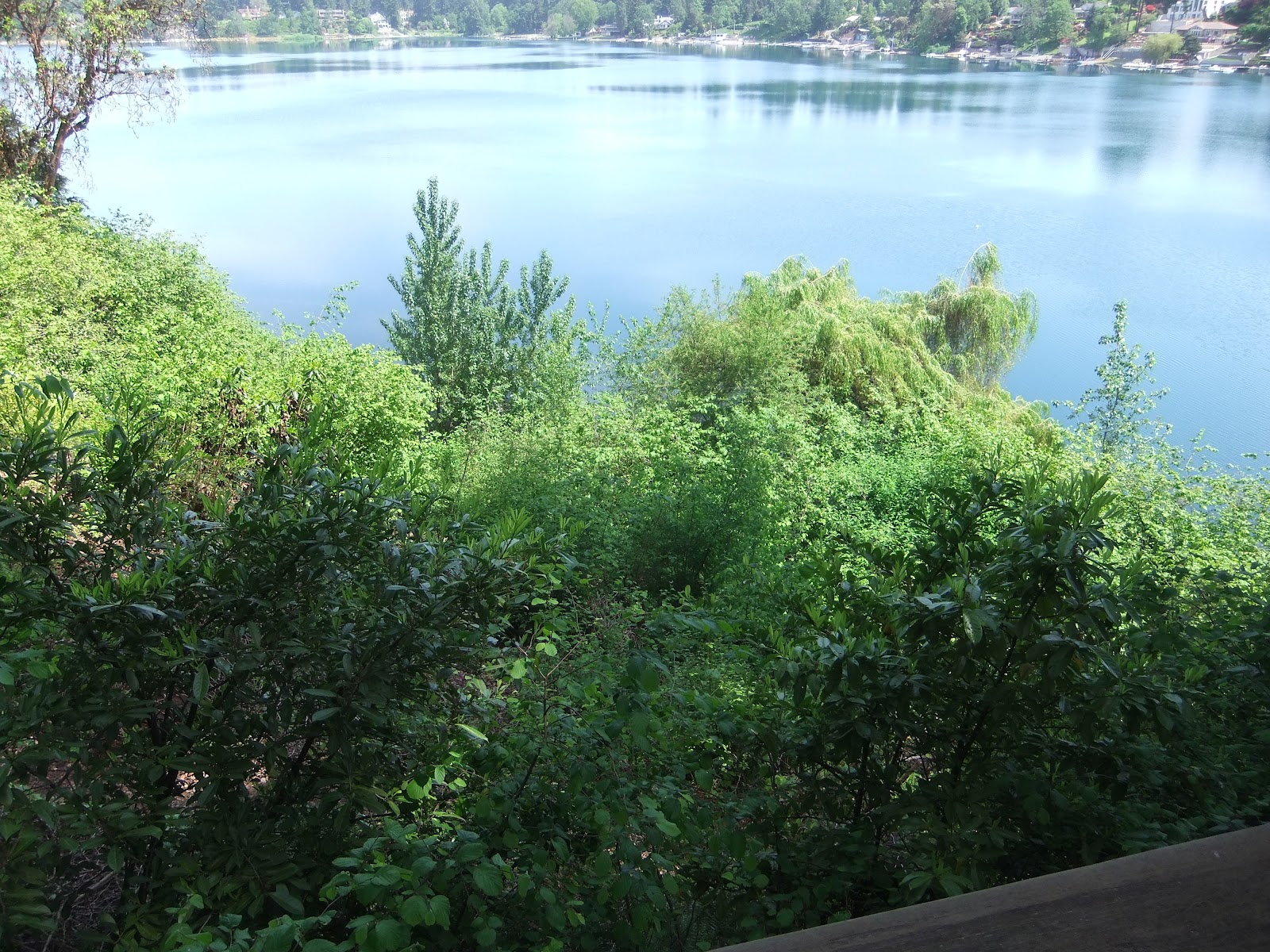 ART+ARCHITECTURE+TRAVEL: ARCHITECT ALAN LIDDLE HOUSE