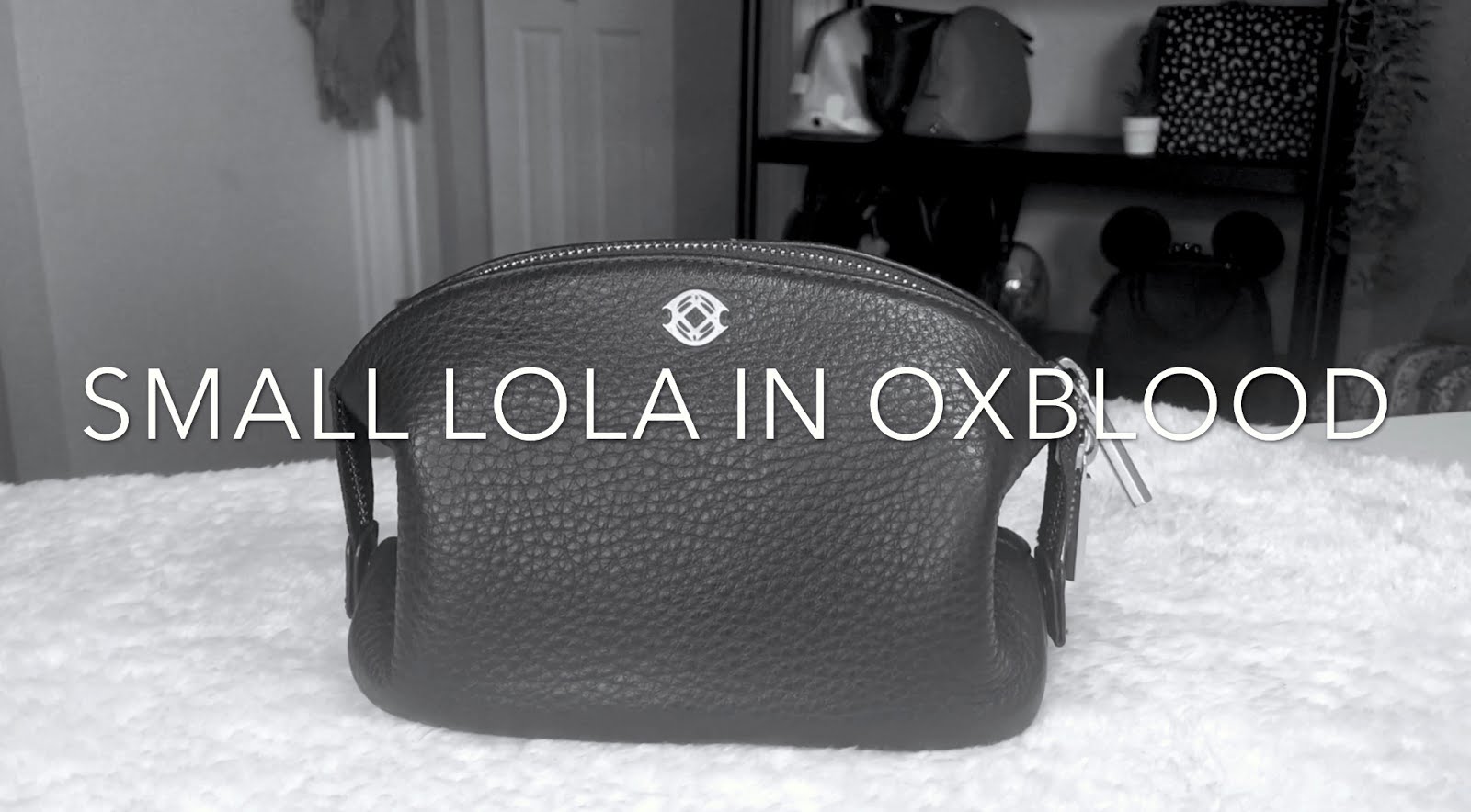 Totes Dagne: Dagne Dover Small / Large Lola: Comparison and Review