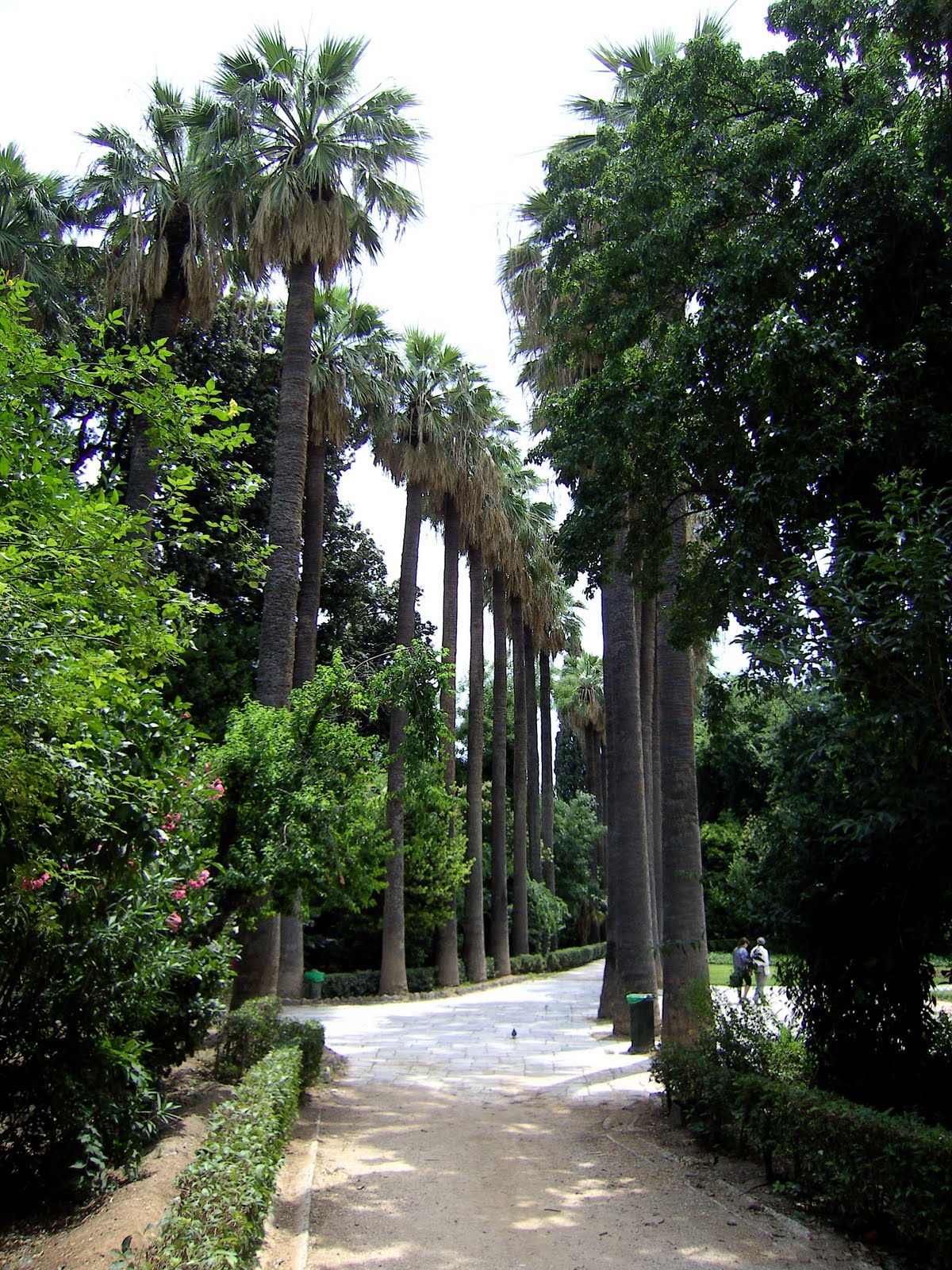 jan1448: Εθνικος Κηπος, το περασμα αναμεσα στις ουασιγκτονιες, το ...