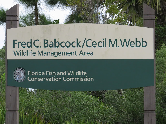 Florida Suncoast Birding: Favorite Local Birding Venues