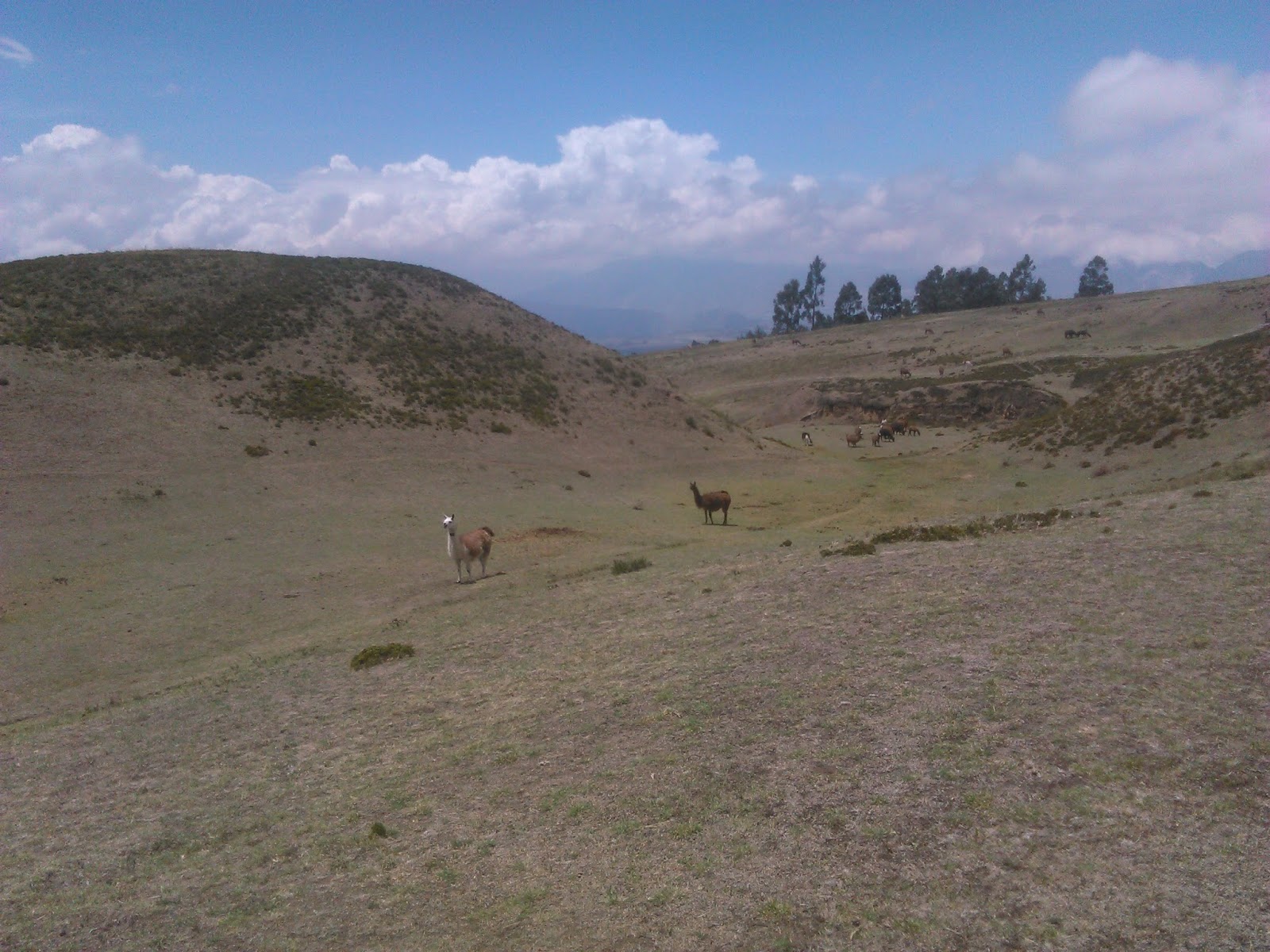 Parque Arqueológico Cochasquí: 4. TURISMO