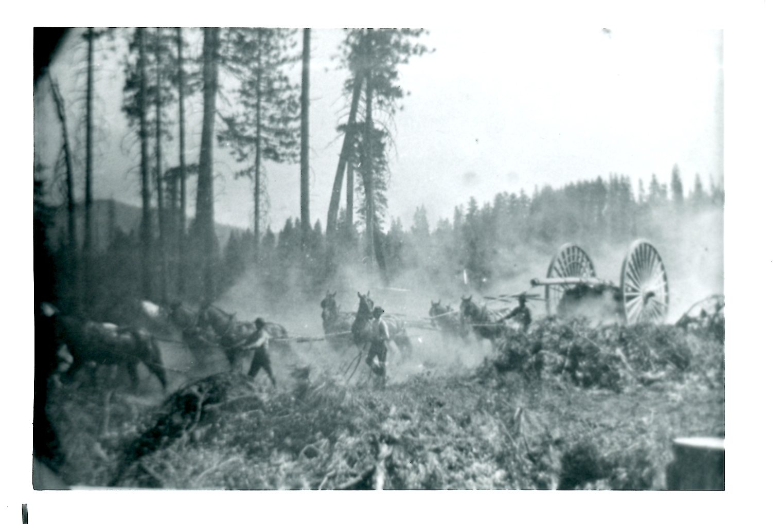 Siskiyou County Historical Society Outdoor Museum: Big Wheels/High Wheels