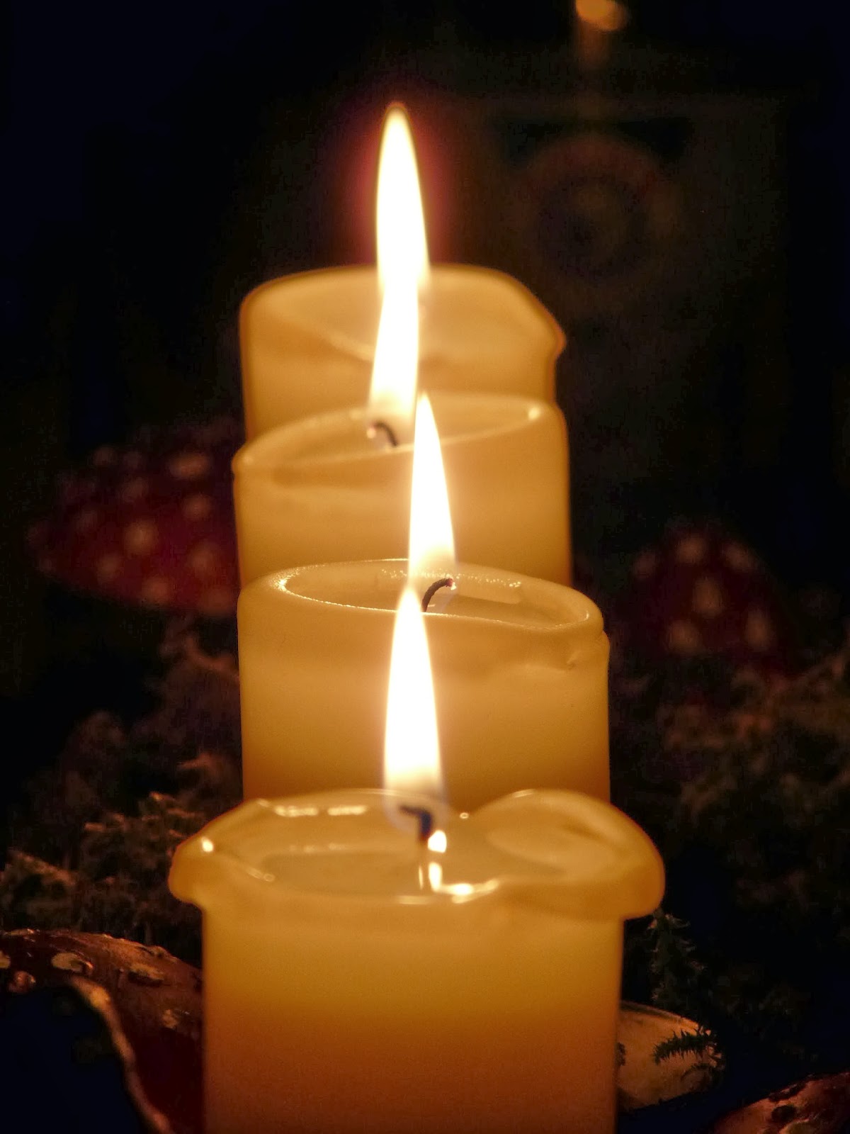 Life of a Catholic Librarian: The Catholic Nook: Candlemas