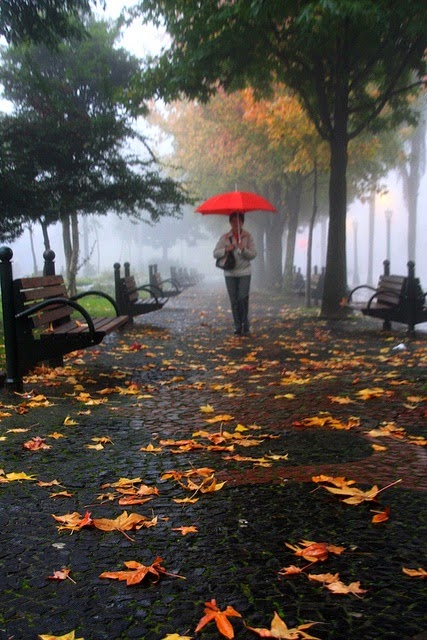 Autumn Rain ~ Photos Hub