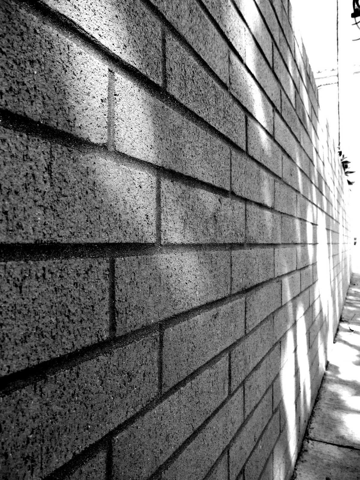 Drew Photo Keiko: Composition #3: Pictorial Lines