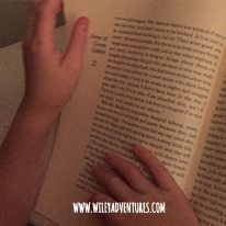 How To Cultivate a "Book-Loving" Home - Wiley Adventures