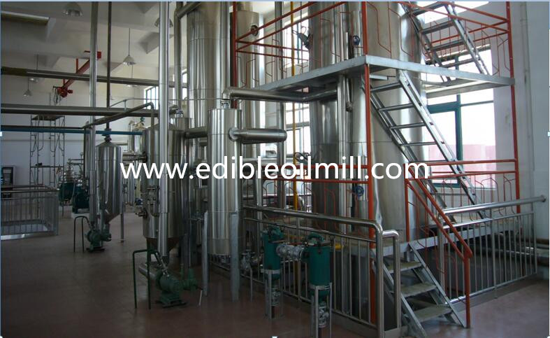 edible oil making machine: How to start rice bran oil plant project