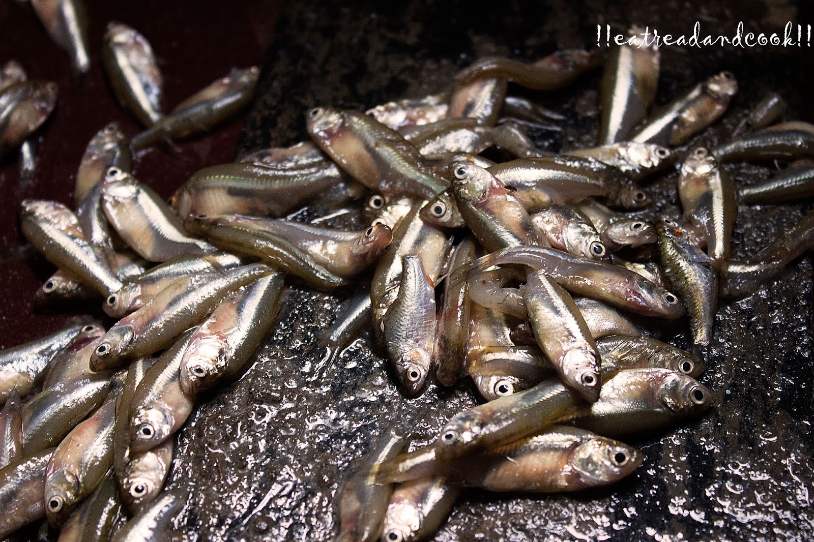 Mourala Maach Bhaja / Mola Fish Fry