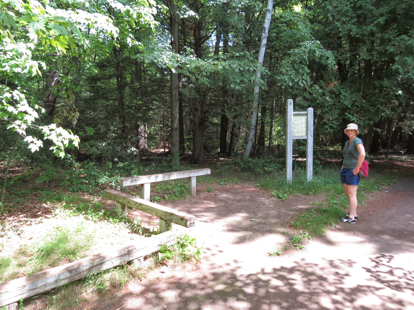 Project Greenbelt: Pinhey Forest – Trail 31 and 32