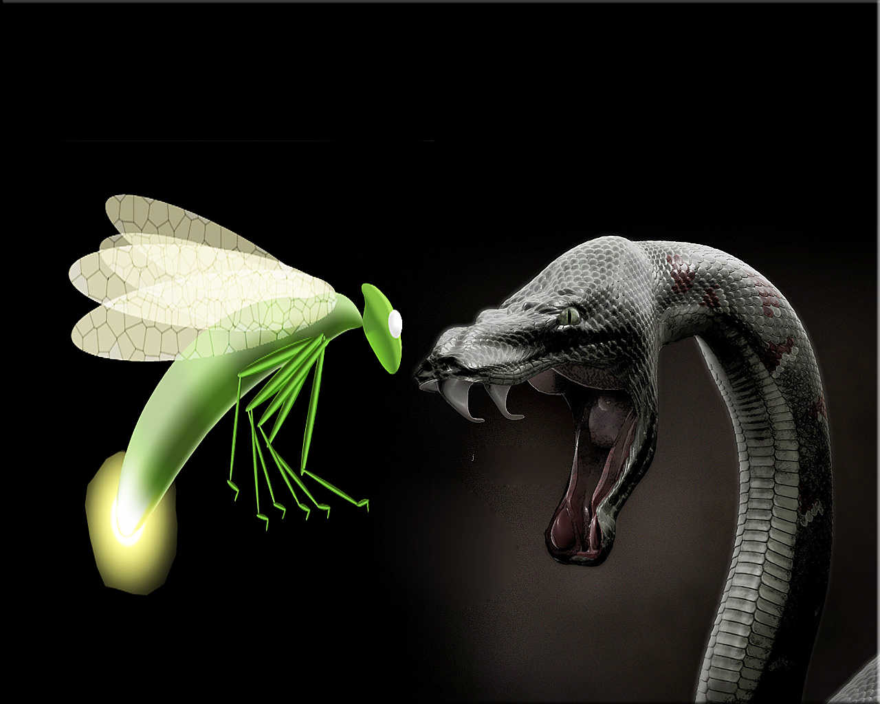 PALAVRA VIVA: Voce sabia que a inveja mata? Cuidado!!!