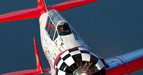 daily timewaster: Checkerboard beauties