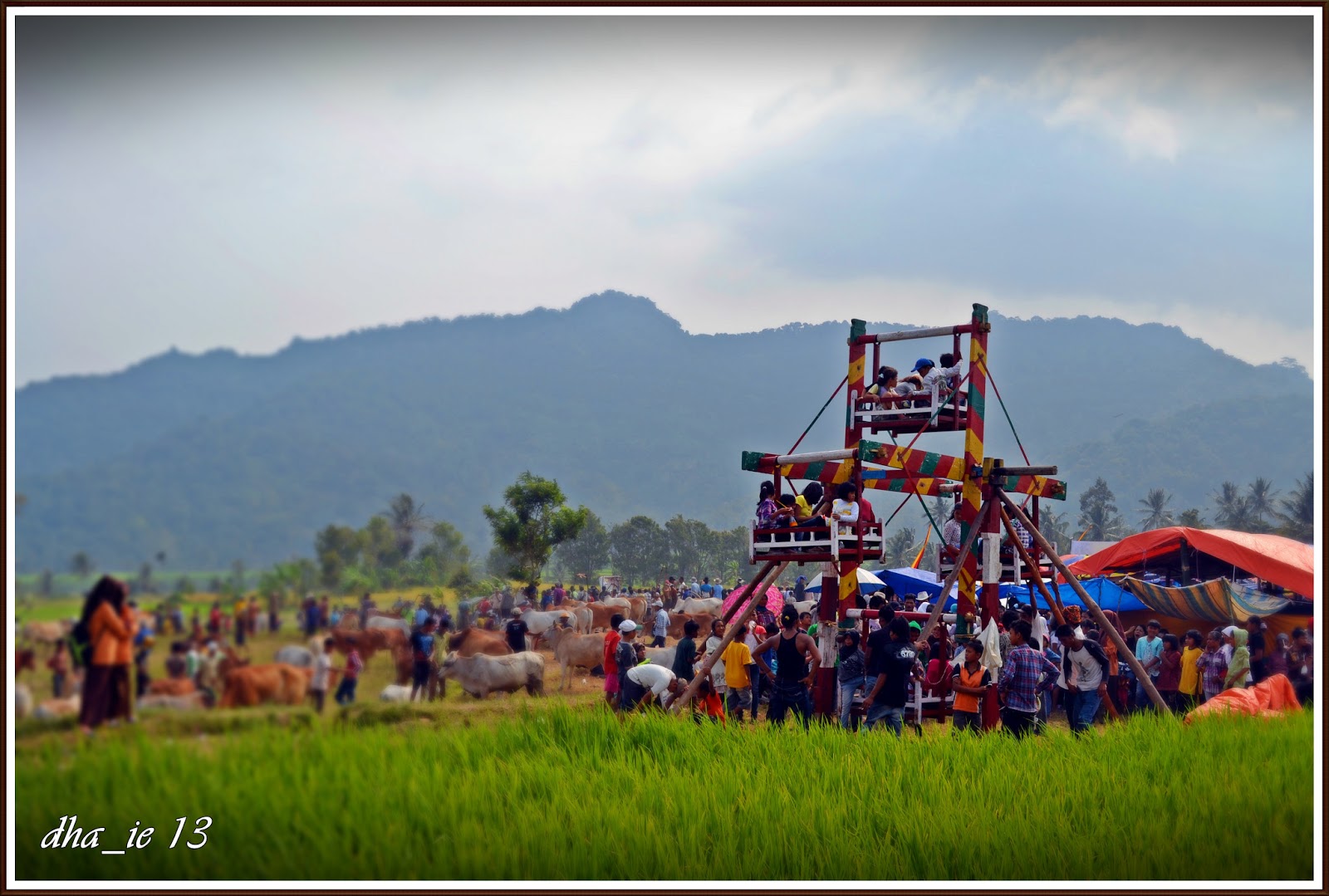 Buayan Kaliang - Palanta Budaya