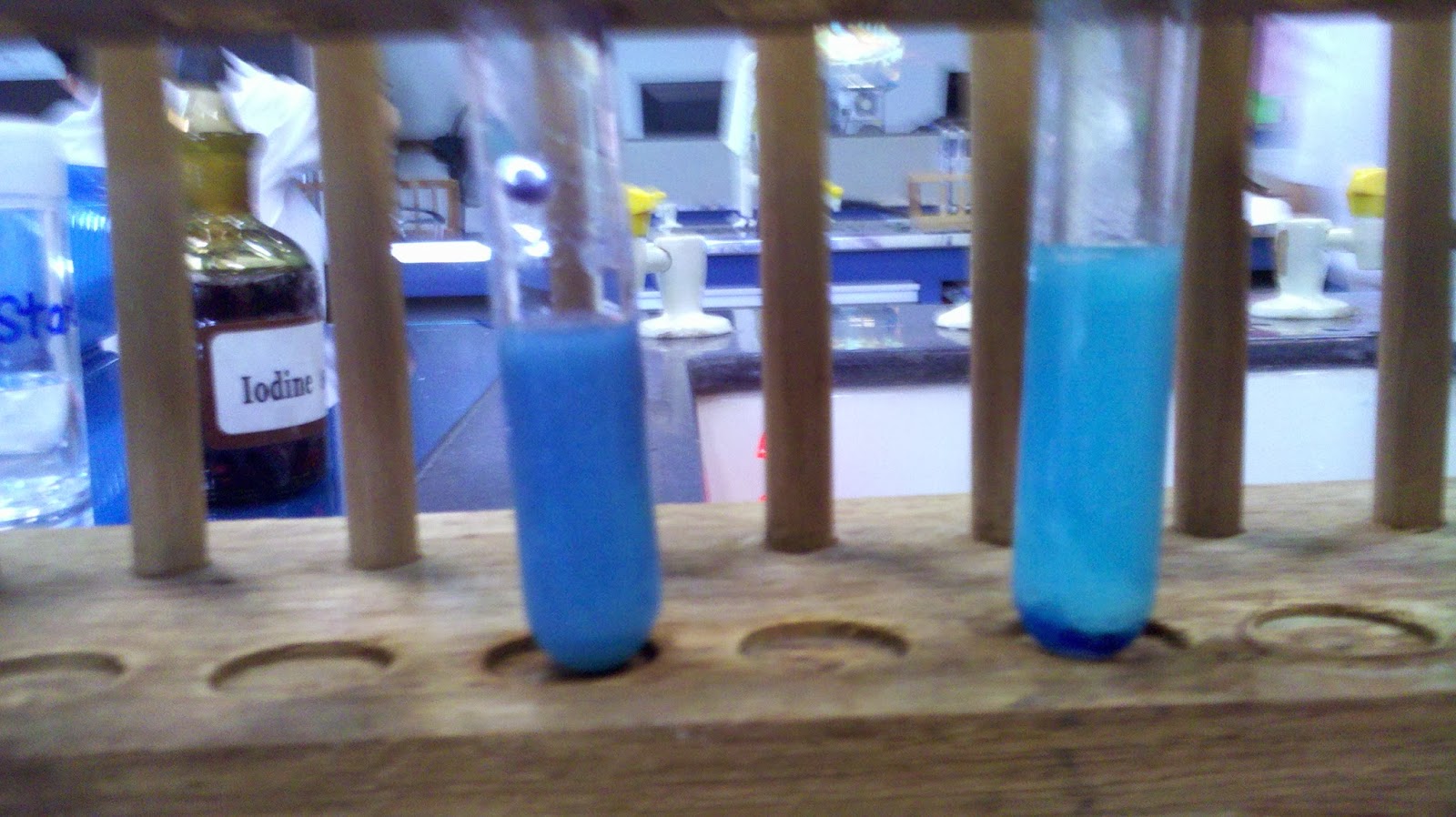 Science for Dummies: 2nd Science Laboratory Lesson ==>Making Observations