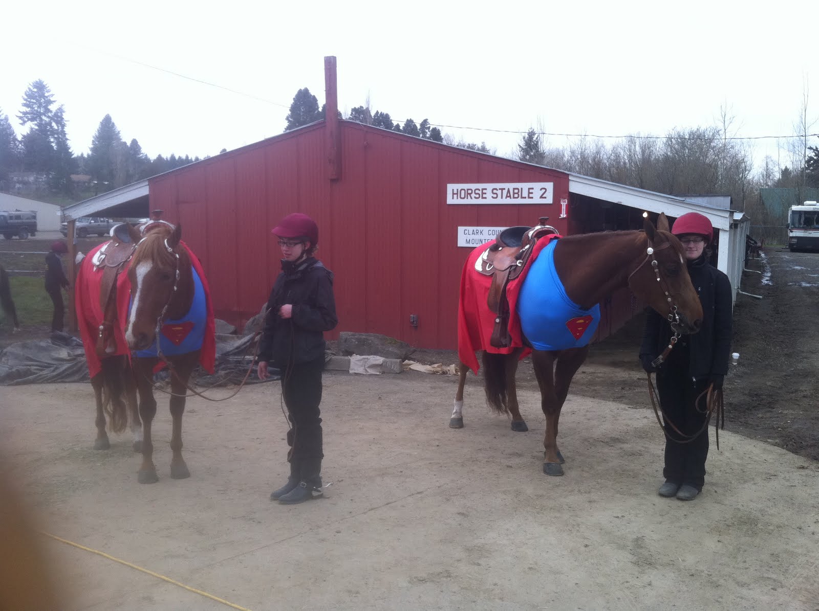 A Tale of Two Buckskins: WAHSET Meet #1