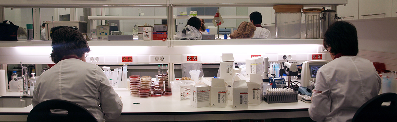 Microbio bacterio parasitologie (lien mis à jour)