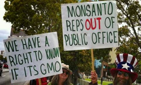 Cluster of Thoughts: Monsanto and the GMO: Ultimate Evil of Mannkind.