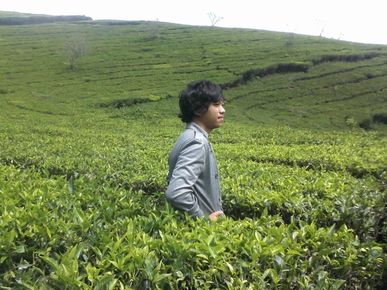 KhuZunT: Curhat Donk....!!!