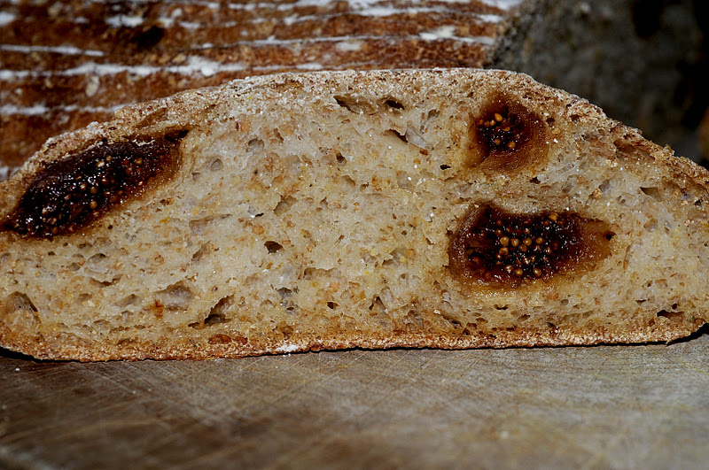 my discovery of Bread: Fig and Rosemary Bread