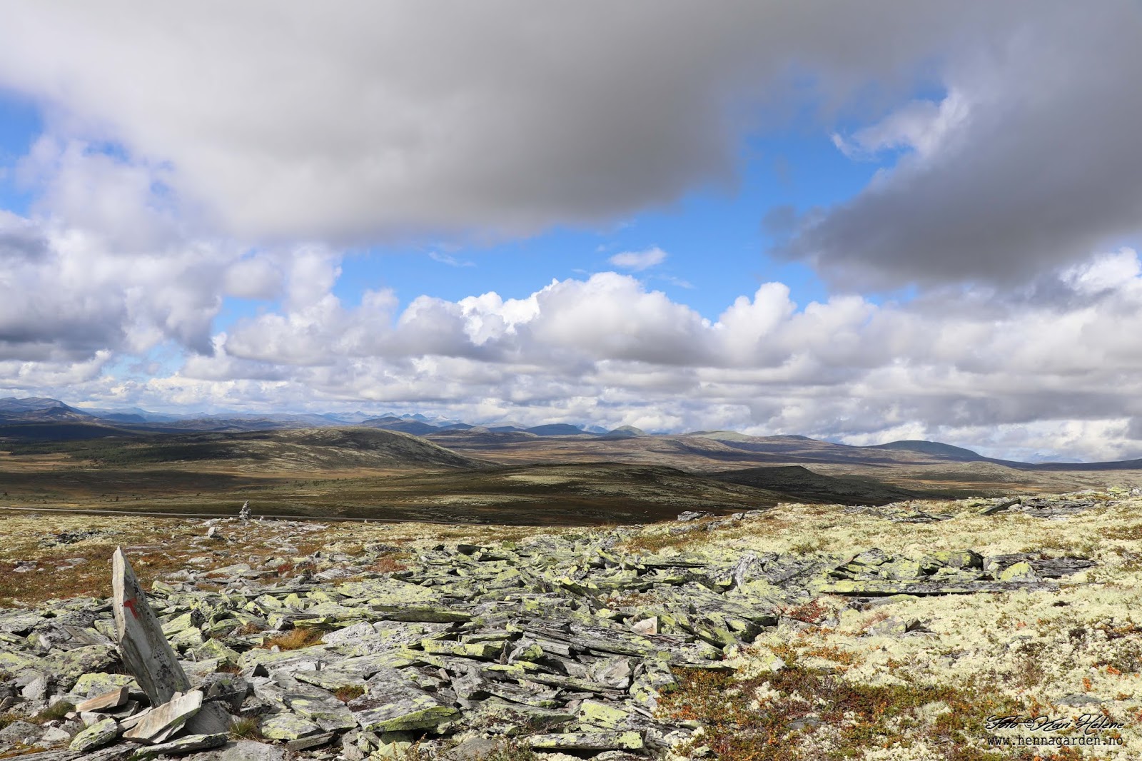 Kennel Hennagarden: Tur til flyvraket på Ringebufjellet