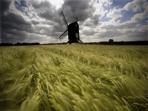 PAISAJES ANIMADOS: Paisaje animado de viento (7)