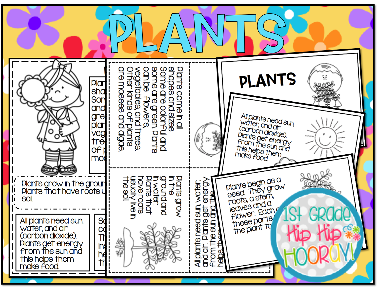 1st Grade Hip Hip Hooray!: Plants ... Growing our knowledge!