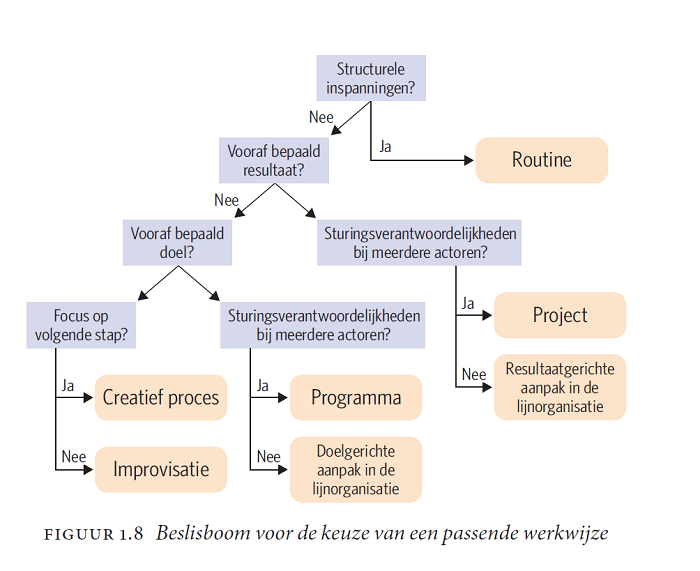 Proces, project of programma?