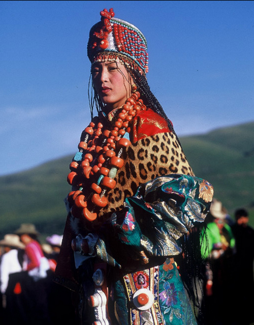 White Wolf : Fascinating Pictures Showcase Traditional Tibetan Horse ...