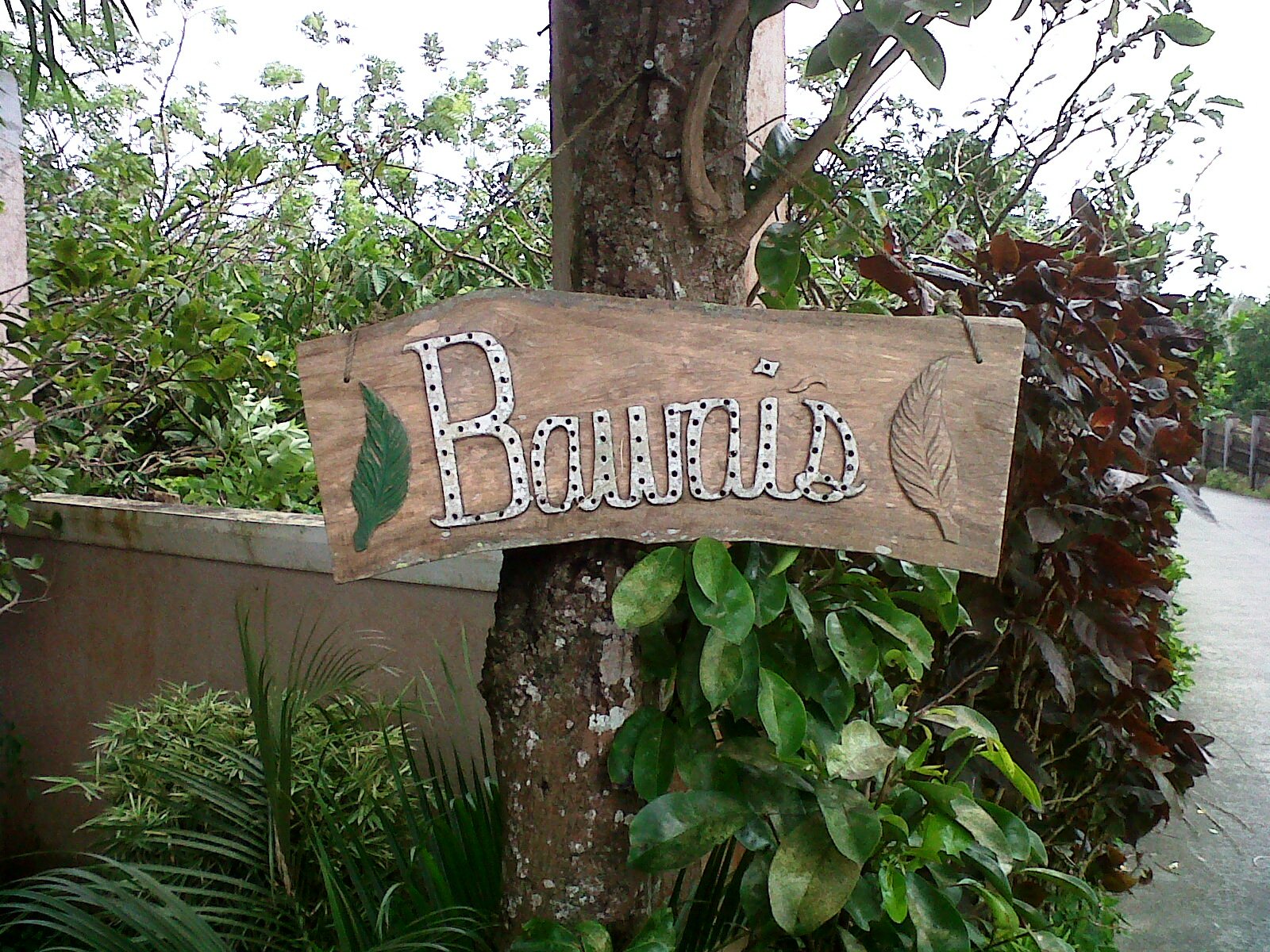 Best of Vietnamese Kitchen that is Bawai's