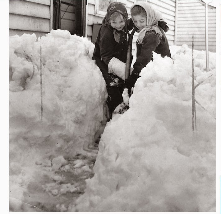 Euclid Evolution: The Great Thanksgiving Snowstorm of 1950