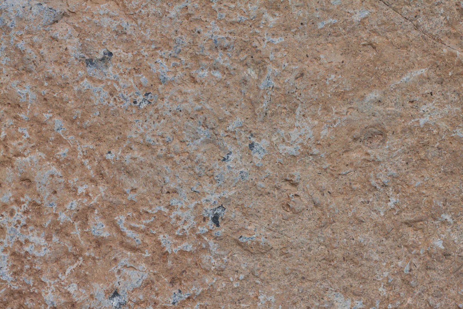 HIGH RESOLUTION TEXTURES: Cream Stone Texture