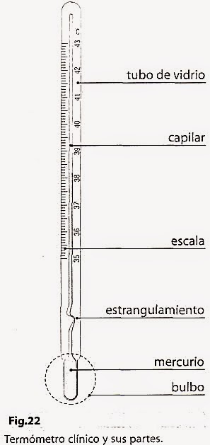 Física y Química: Calor y temperatura