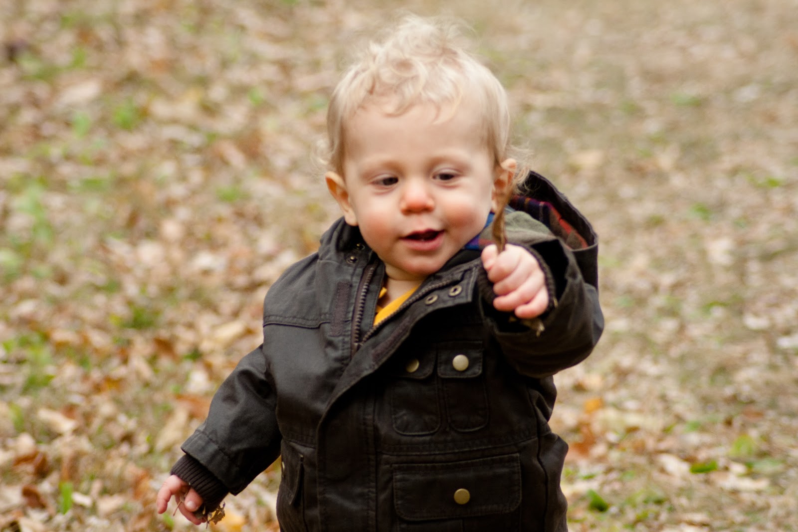 Crystal Piper Photography