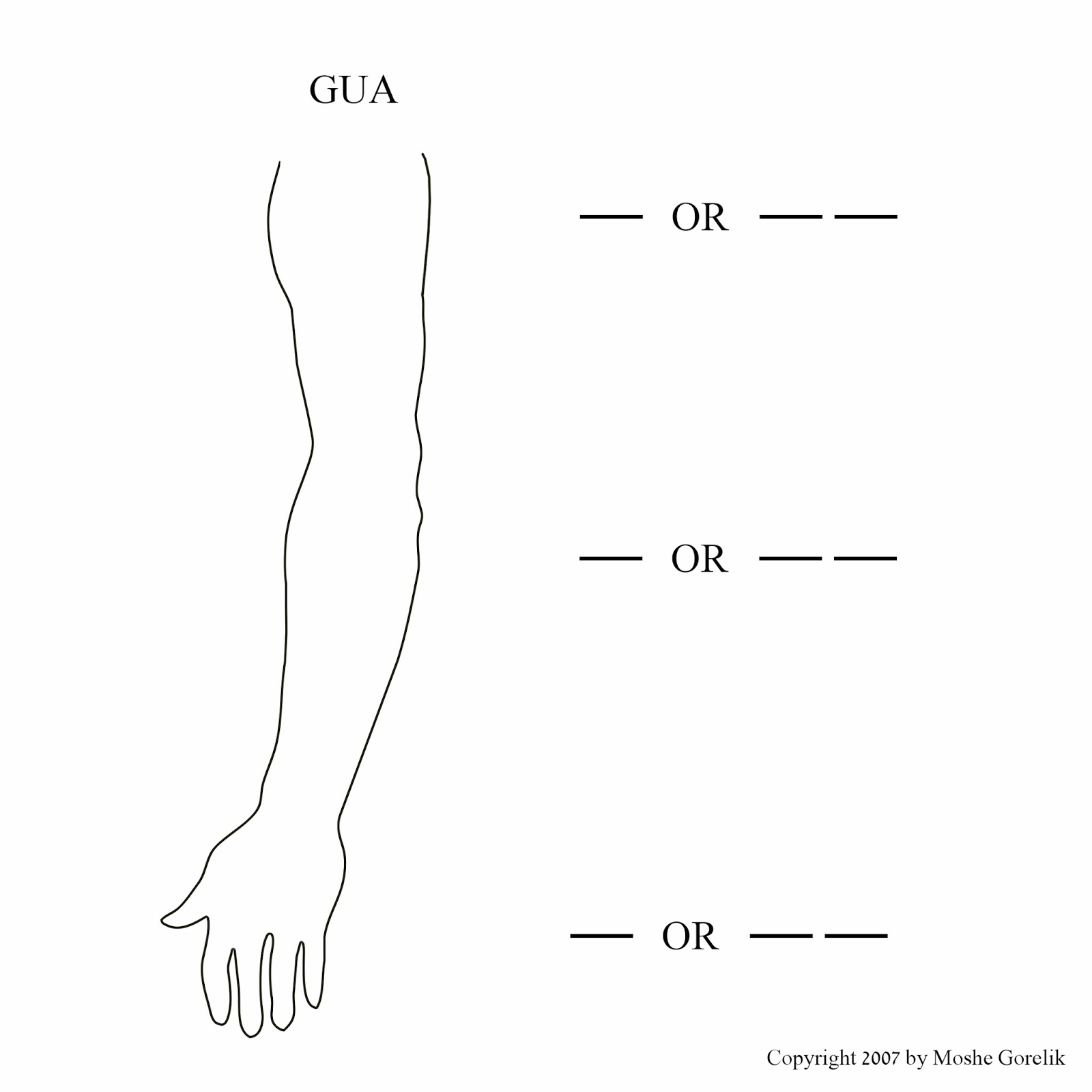ISAI The Martial Art of Formless Flow: THE FRACTAL NATURE OF NATURAL MOTION