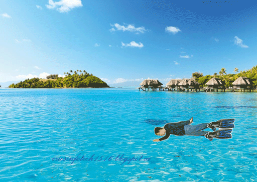 ericinfotech12: Bora Bora PS Animation Project.