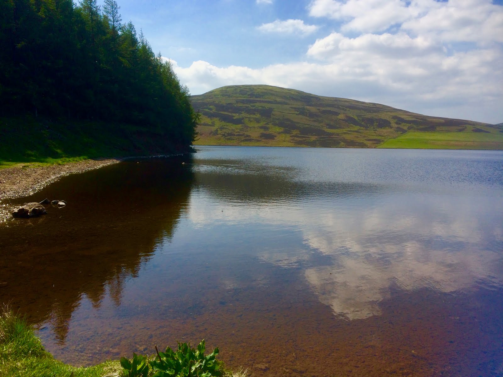 Days out in the Borders : Whiteadder Reservoir