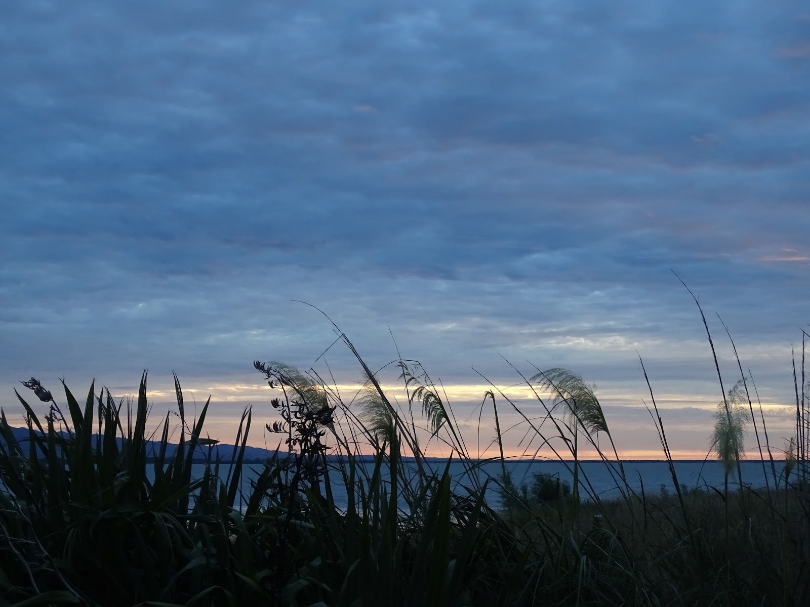 over the hill: Lake Domain Reserve, Lake Wairarapa