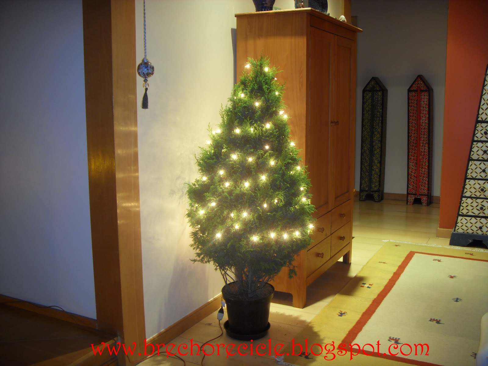 Brechó Recicle: Meu pinheiro Natural... Hummm... Cheirinho de Natal na ...