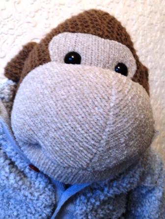 Mum's Monkey: Our Successful Monkey Adoptions 2011