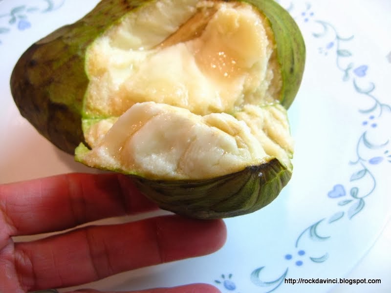 Let's Rock Like da Vinci - Cook Away!: CHERIMOYA - Tropical Fruits Wonder